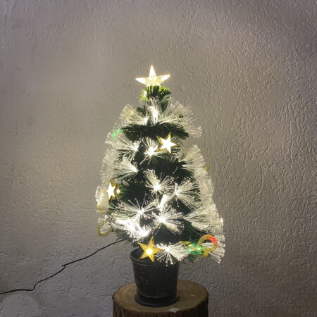 Mini-Peme Krishtlindje (me Ylla & Fjongo) - 60cm - Buzi Store