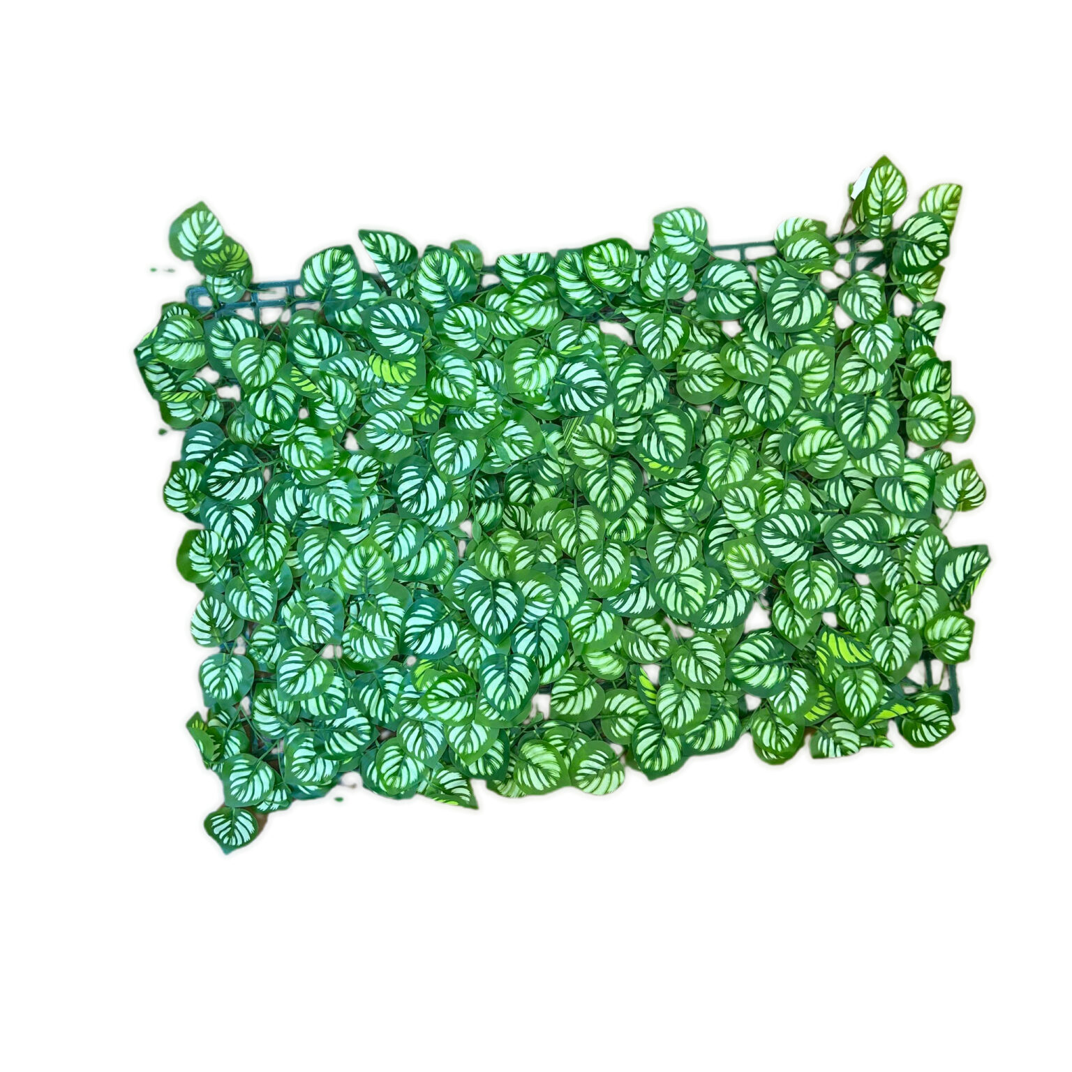 Shtepi Archives - Buzi Store