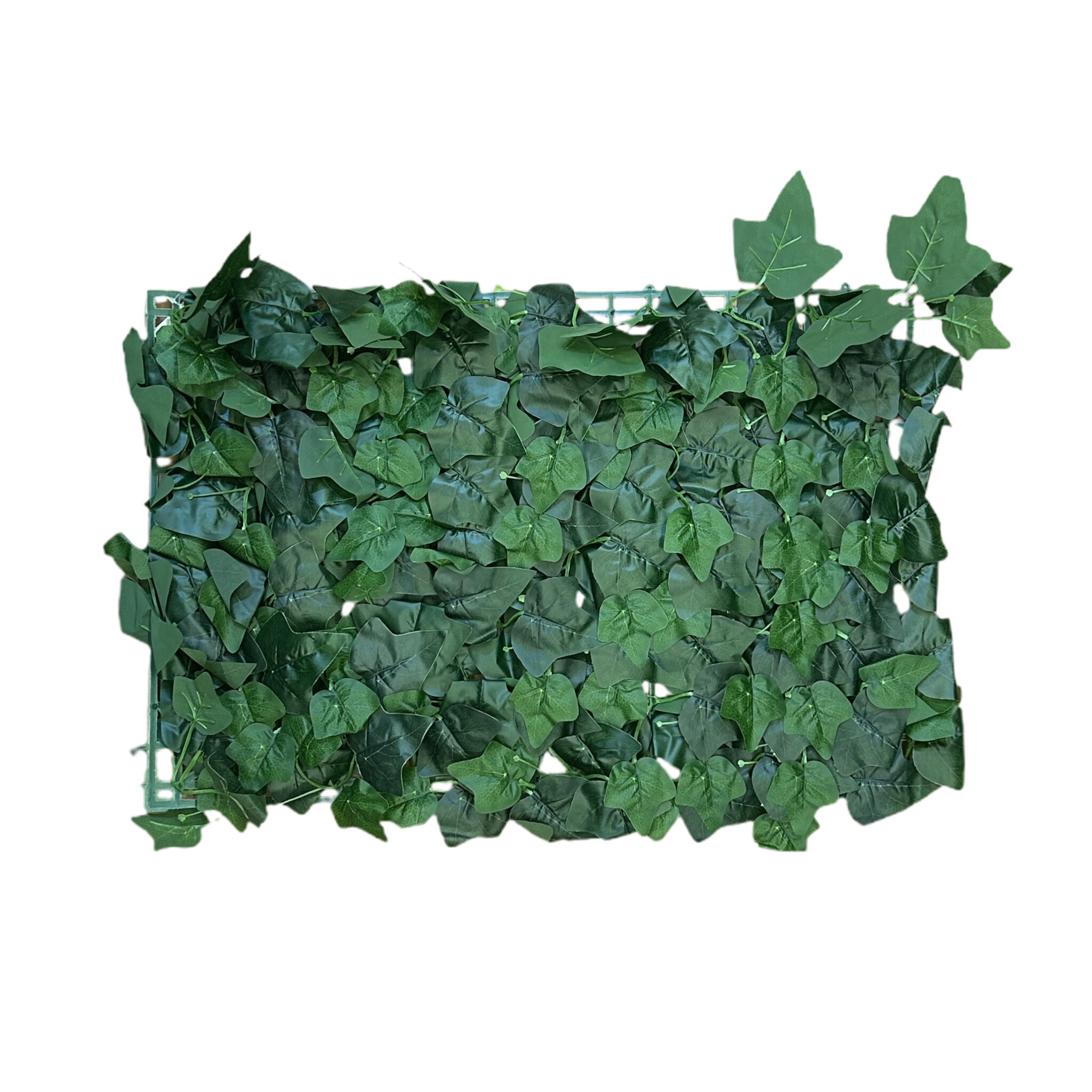 Gardh me Gjethe Artificiale (Ivy) - 60 x 40cm - Buzi Store